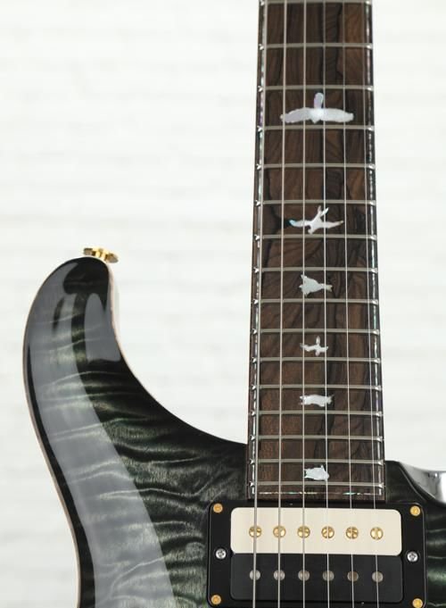 PRS Private Stock #7455 Custom 24 - Sage Glow With Micro Burst, Pattern ...