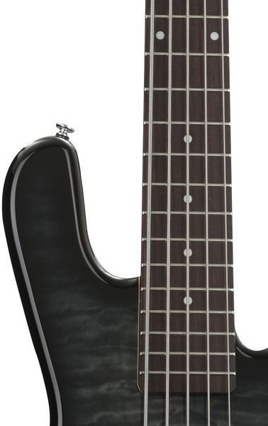 Spector Legend 5 Standard - Black Stain Gloss | Sweetwater