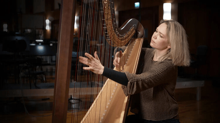 Vienna Symphonic Library Synchron Prime Orchestra Virtual Instrument Collection | Sweetwater