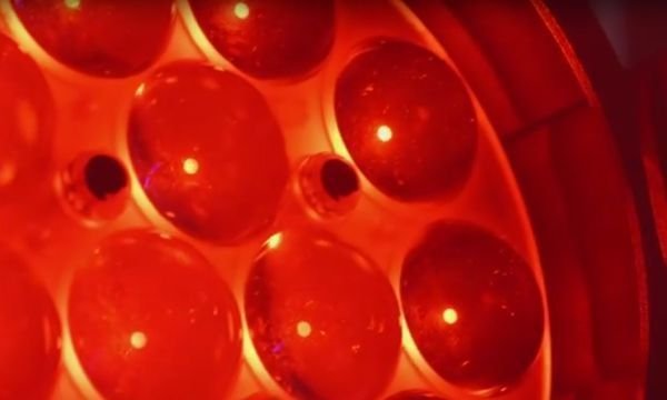 Martin Lighting RUSH PAR 2 RGBW Zoom RGBW LED Par with Zoom | Sweetwater