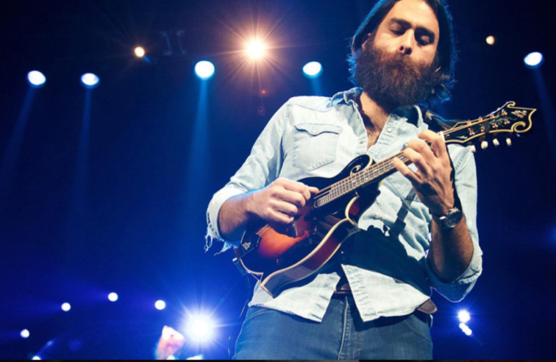 The Loar | Sweetwater