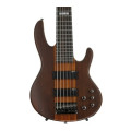6-string Bass Guitars | Sweetwater