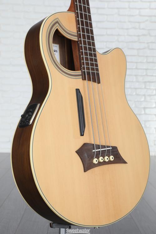 Warwick RockBass Alien Deluxe Hybrid Thinline Acoustic-electric Bass ...