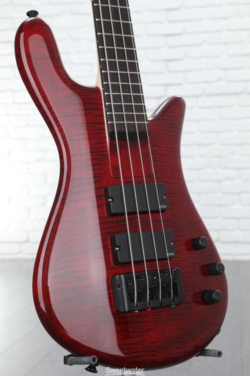 Spector Bantam 4 Bass Guitar - Black Cherry Gloss | Sweetwater
