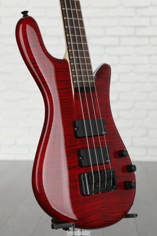 Spector Bantam 4 Bass Guitar - Black Cherry Gloss | Sweetwater