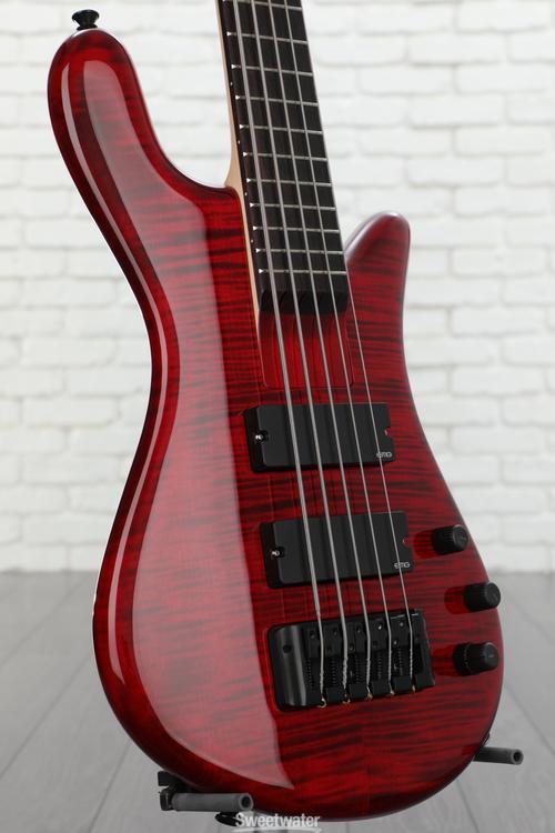 Spector Bantam 5 Bass Guitar - Black Cherry | Sweetwater