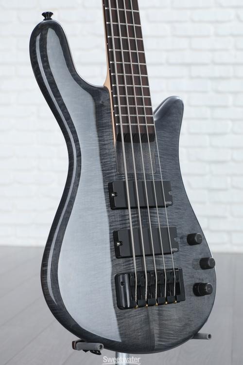 Spector Bantam 5 Bass Guitar - Black Stain | Sweetwater