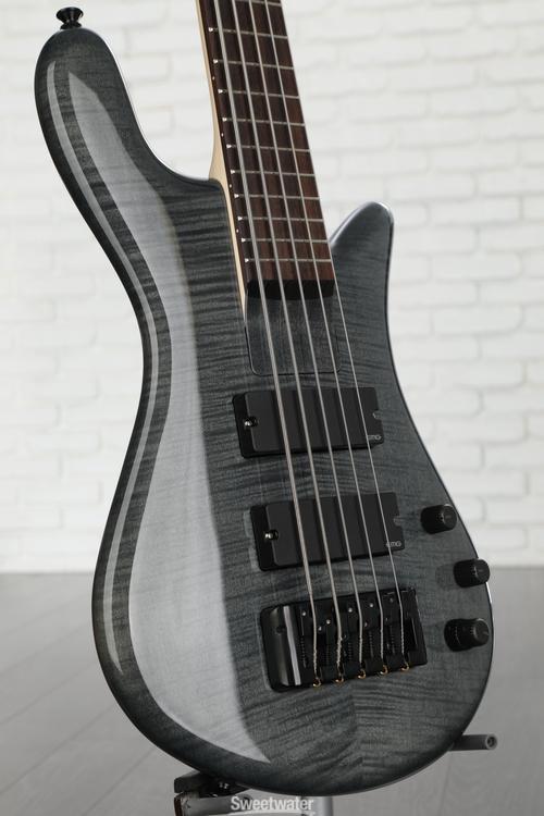 Spector Bantam 5 Bass Guitar - Black Stain | Sweetwater