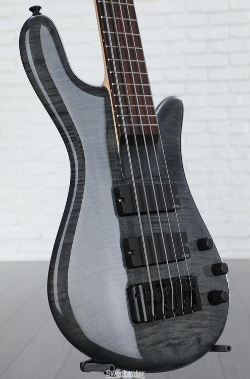 Spector Bantam 5 Bass Guitar - Black Stain | Sweetwater