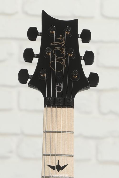 PRS DW CE 24 "Floyd" Electric Guitar - Waring Burst | Sweetwater