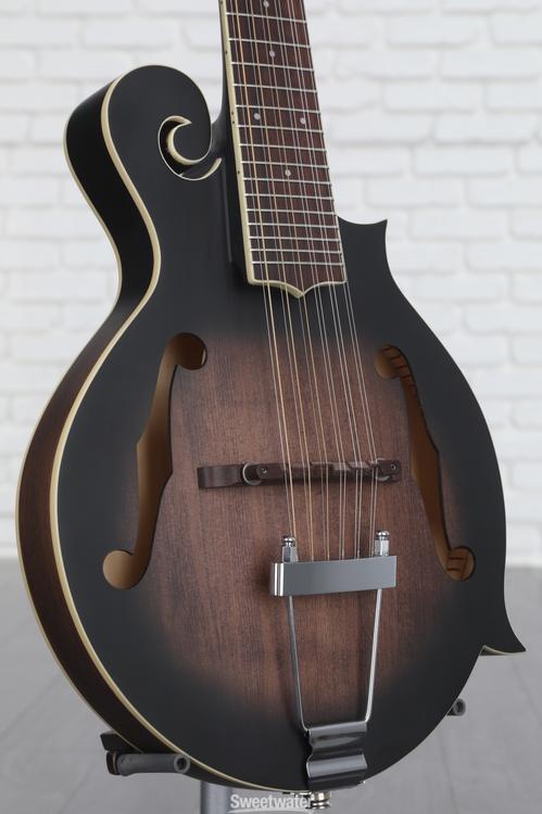 Gold Tone F-12 12-string Acoustic-electric Mando-Guitar - Tobacco ...