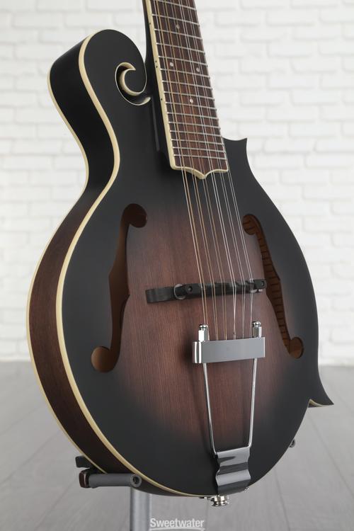 Gold Tone F-12 12-string Acoustic-electric Mando-Guitar - Tobacco ...