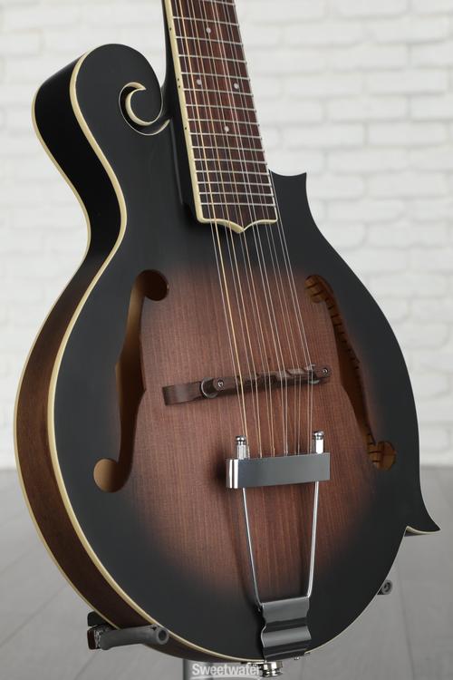 Gold Tone F-12 12-string Acoustic-electric Mando-Guitar - Tobacco ...