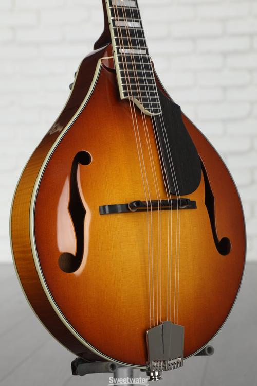 Eastman Guitars MD605 A-style Acoustic-electric Mandolin - Goldburst ...