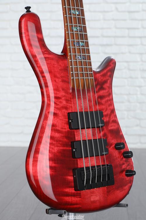 Spector USA NS-5XL Bass Guitar - Black Cherry Gloss | Sweetwater