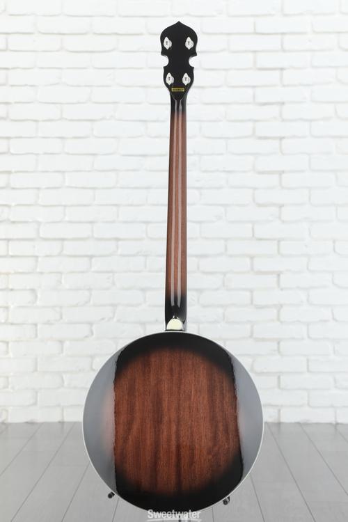 Gold Tone PS-250 Plectrum Special 4-string Resonator Banjo - Vintage ...