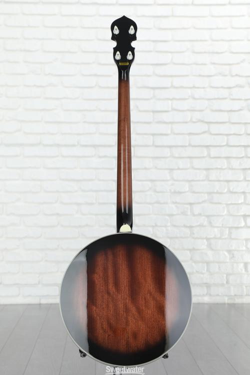 Gold Tone PS-250 Plectrum Special 4-string Resonator Banjo - Vintage ...