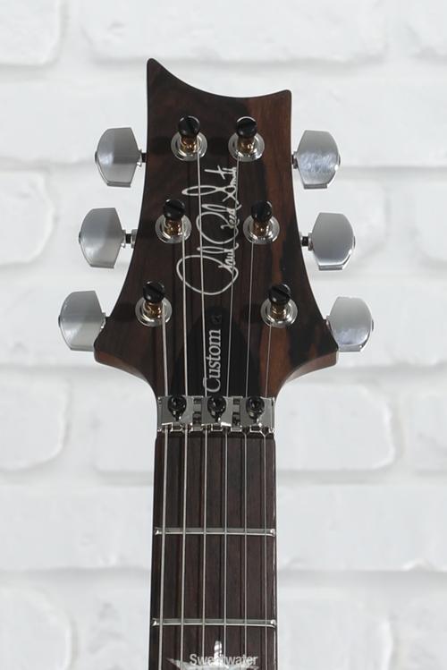 PRS Wood Library Custom 24 Floyd - Satin Frost Blue Metallic | Sweetwater