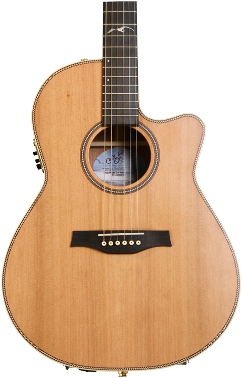 Seagull Guitars Artist Mosaic CW Folk QII - Natural | Sweetwater