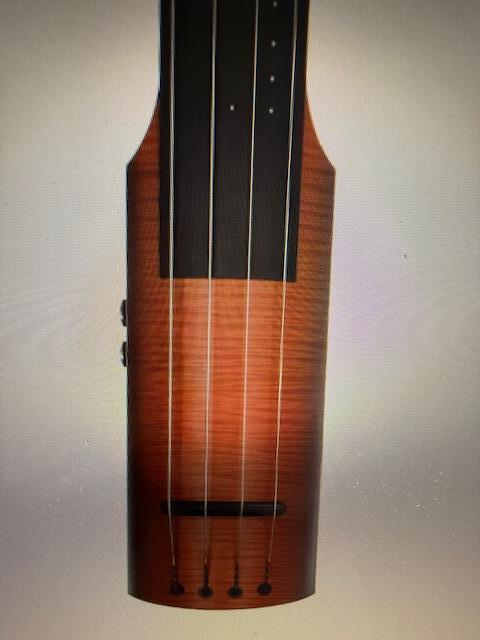 Used NS Design NXTa Electric - Sweetwater's Gear Exchange