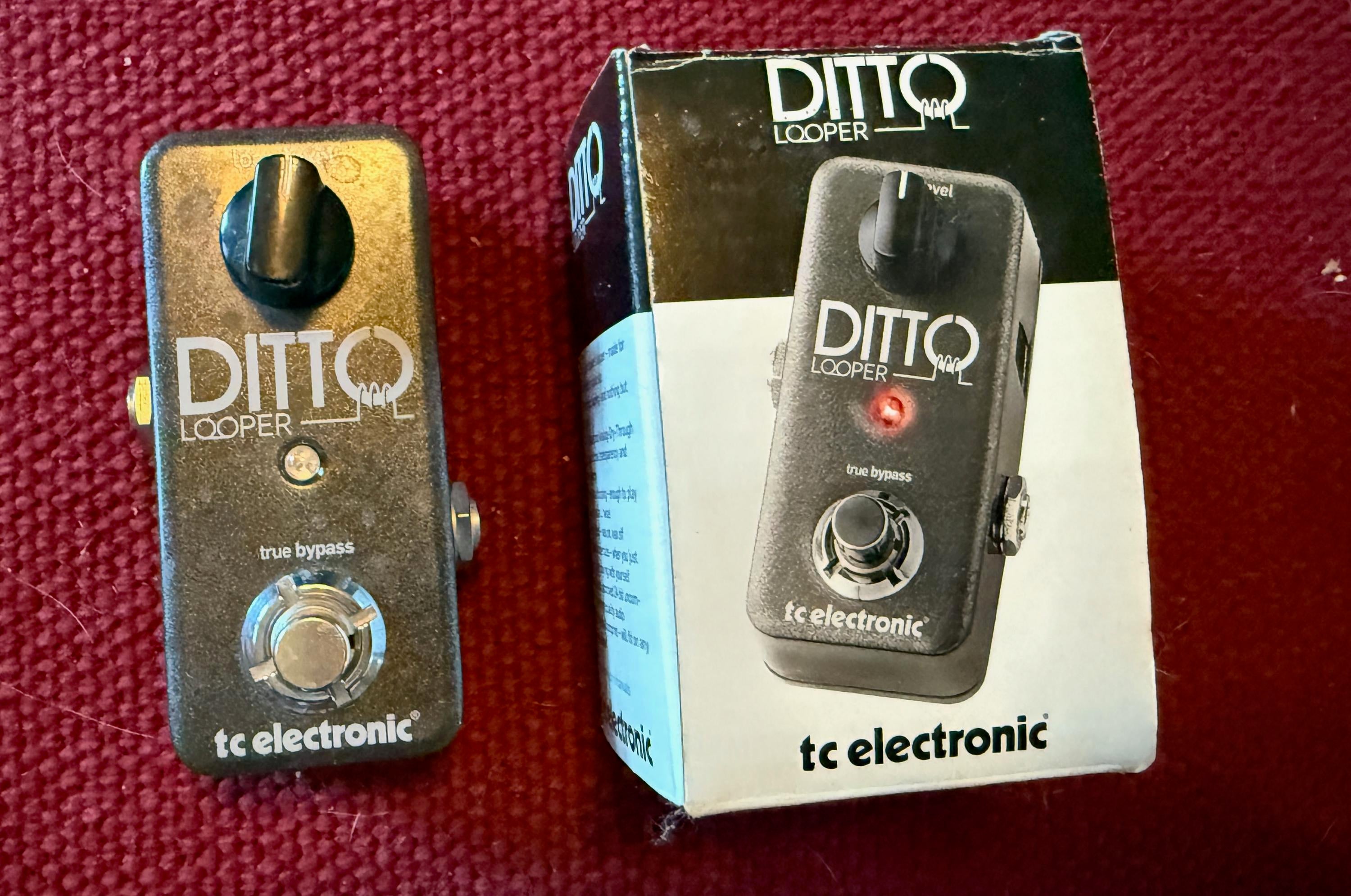 Used TC Electronic Ditto Looper - Sweetwater's Gear Exchange