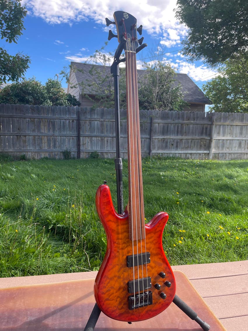 Used Spector Q4 fretless bass - Sweetwater's Gear Exchange