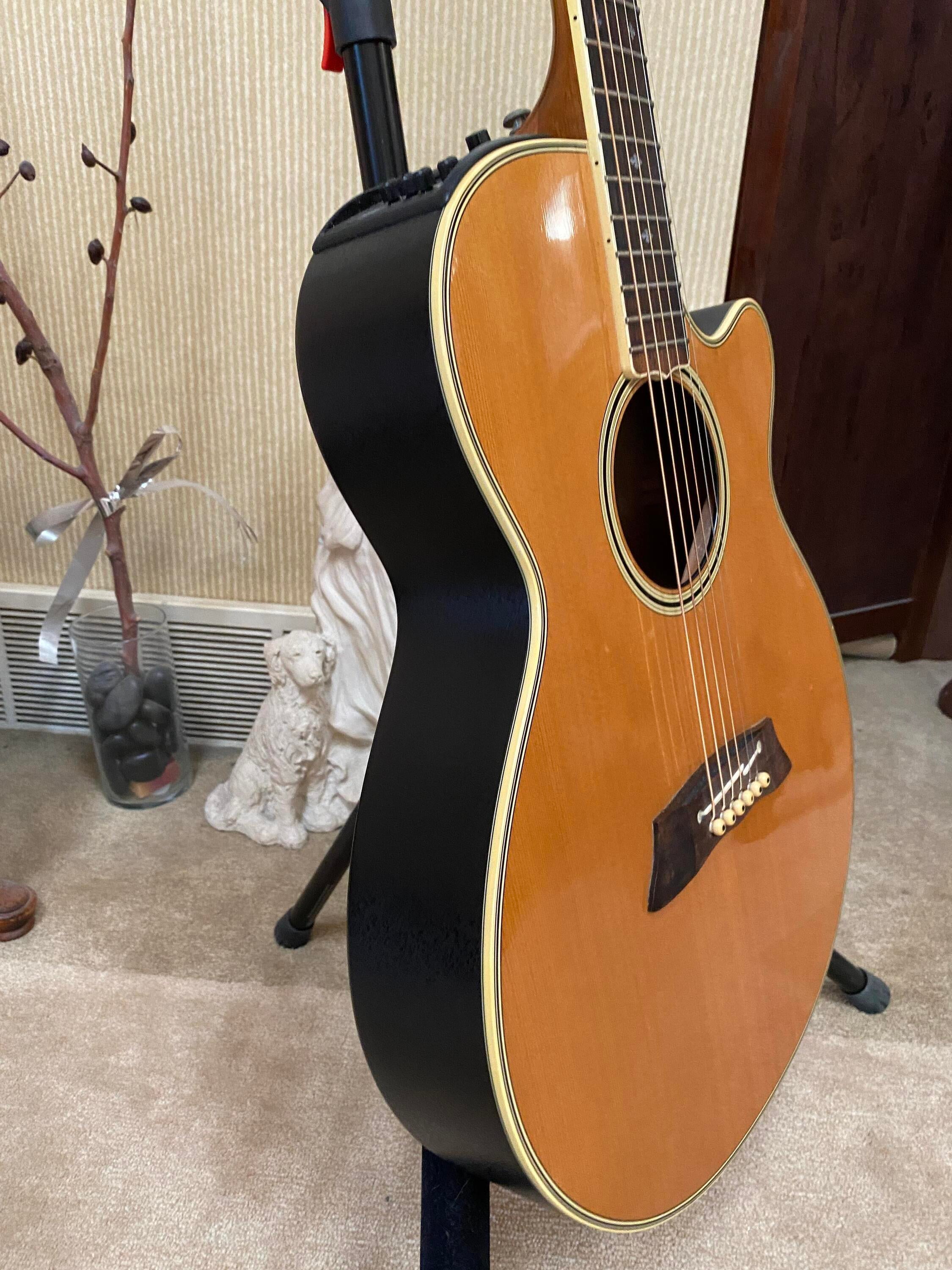 Used Takamine Super Rare Takamine - Sweetwater's Gear Exchange