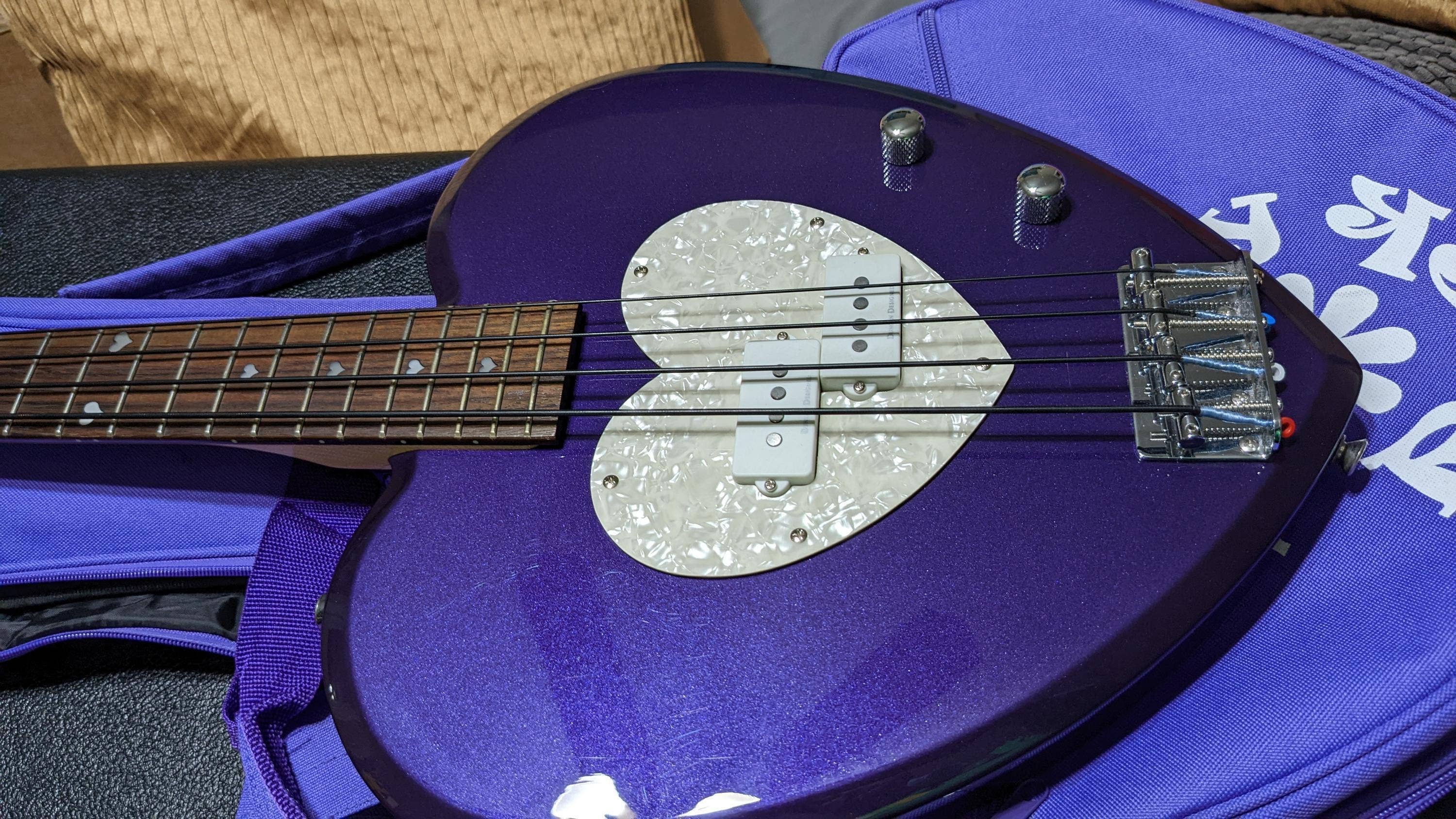 Used Daisy Rock Purple Sparkle Daisy Rock Bass | Sweetwater Gear Exchange