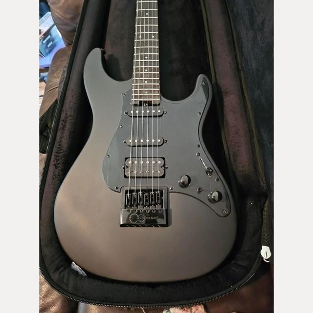 Used ESP LTD SN-1000 EverTune - Sweetwater's Gear Exchange