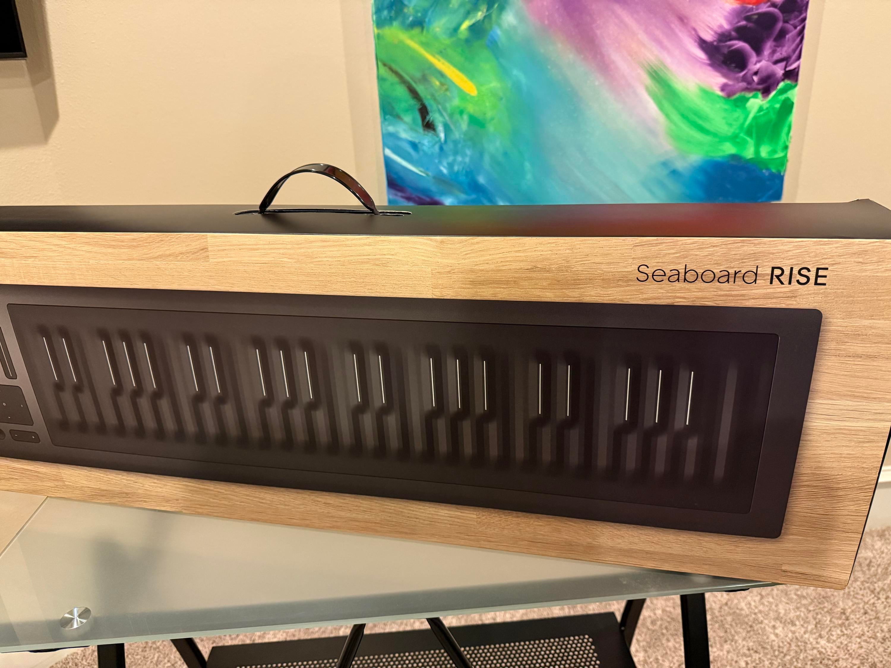 Used ROLI Seaboard Rise 49 49-note - Sweetwater's Gear Exchange