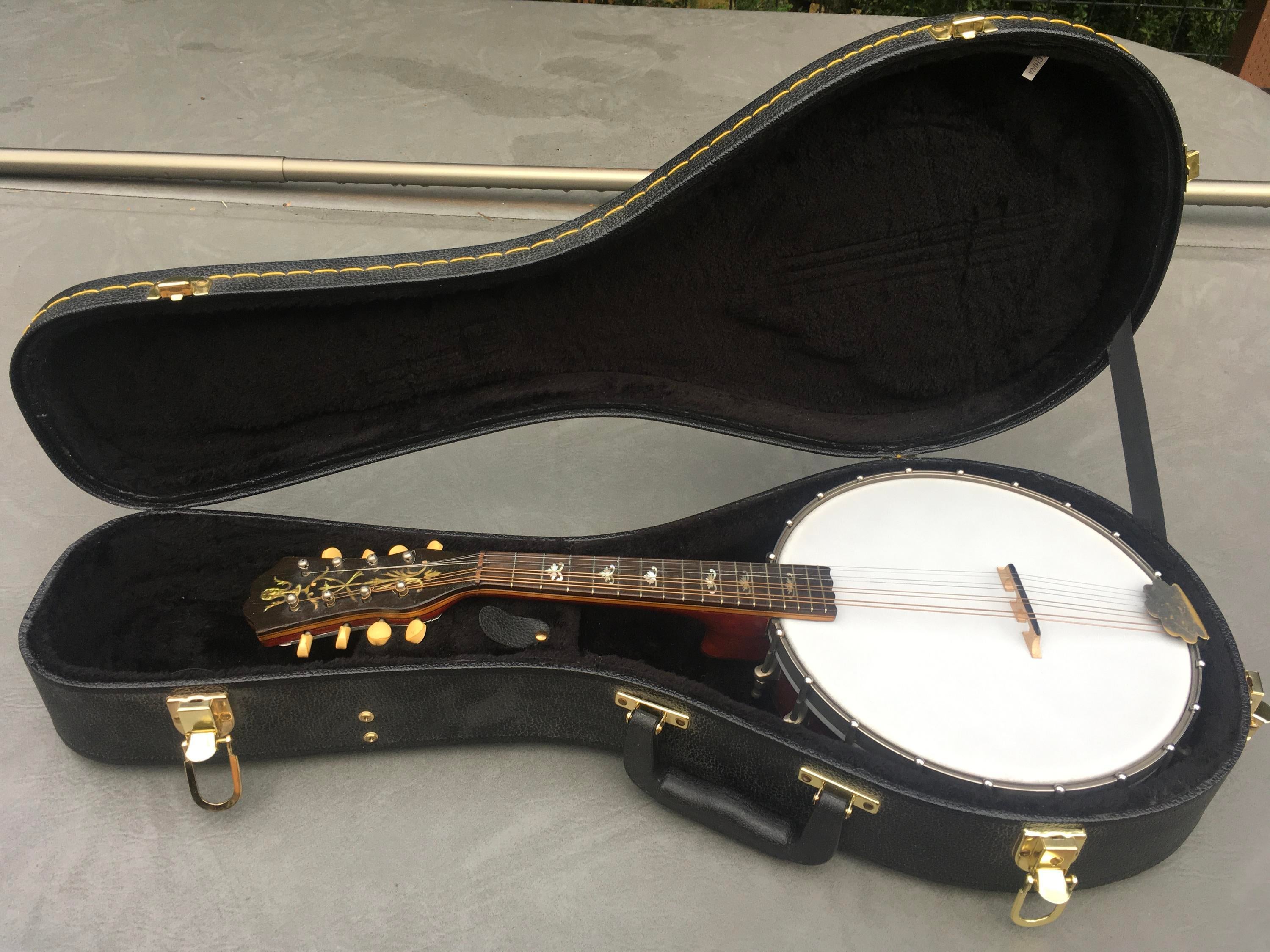 Used Lange Rex Professional Banjo - Sweetwater's Gear Exchange