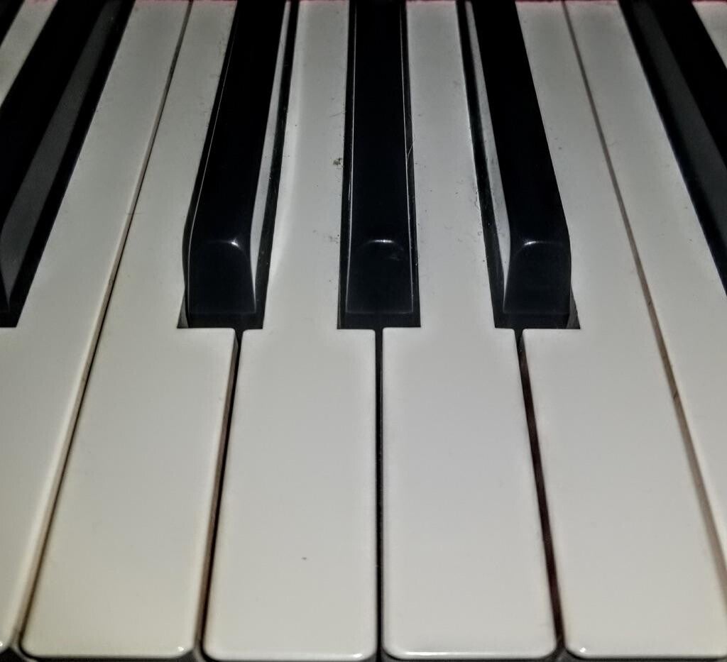 Talley Services - Sweetwater's Gear Exchange