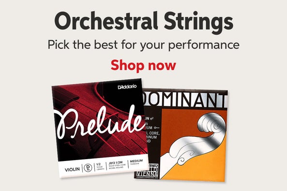 Orchestral String Instruments | Sweetwater