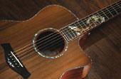 Find Your Fit: Understanding Taylor Guitars Model Numbers - InSync