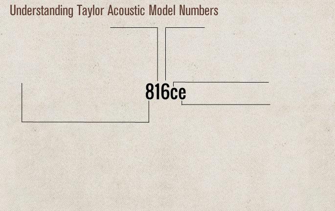 Find Your Fit: Understanding Taylor Guitars Model Numbers - InSync