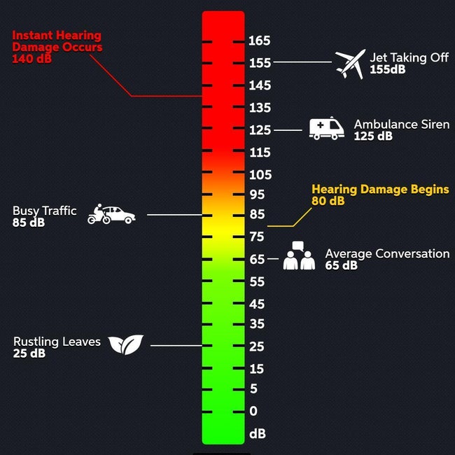 The Musician's Guide to Hearing Protection — from a Doctor! - InSync