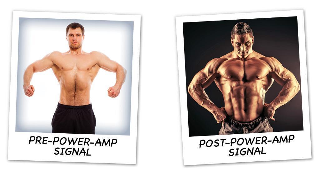 The Guitarist's Guide to Electric Guitar Amps - Part 1: Basic Anatomy ...