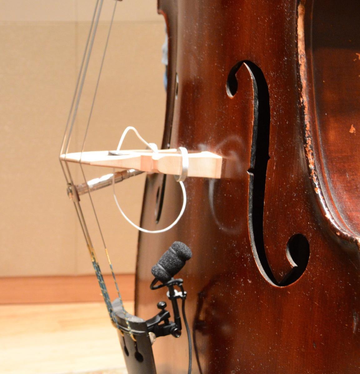 Choosing the Best Mic for Upright Bass – with Sound Samples - InSync