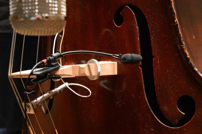 Choosing the Best Mic for Upright Bass – with Sound Samples - InSync