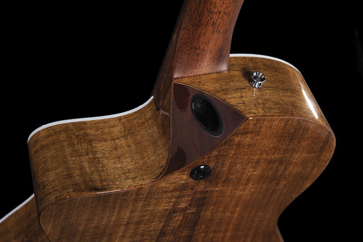 Check Out Martin's Amazing, New Acoustic Guitar! - InSync