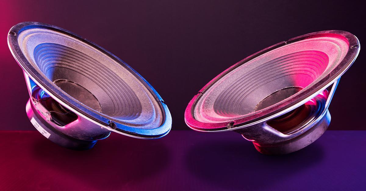 How Does a Speaker Work? - InSync