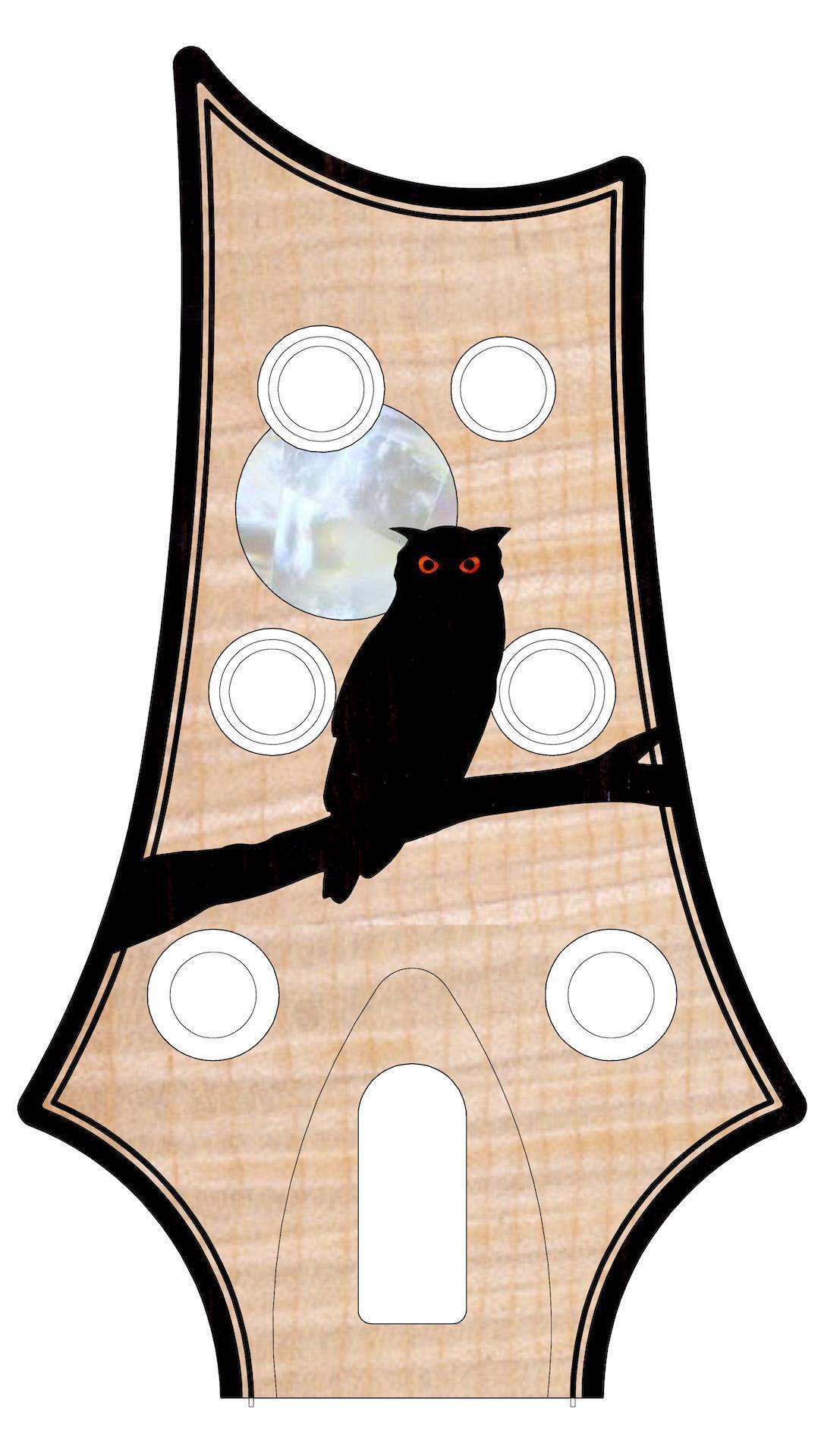 PRS's Owls in Flight Private Stock Guitars – Only at Sweetwater! - InSync