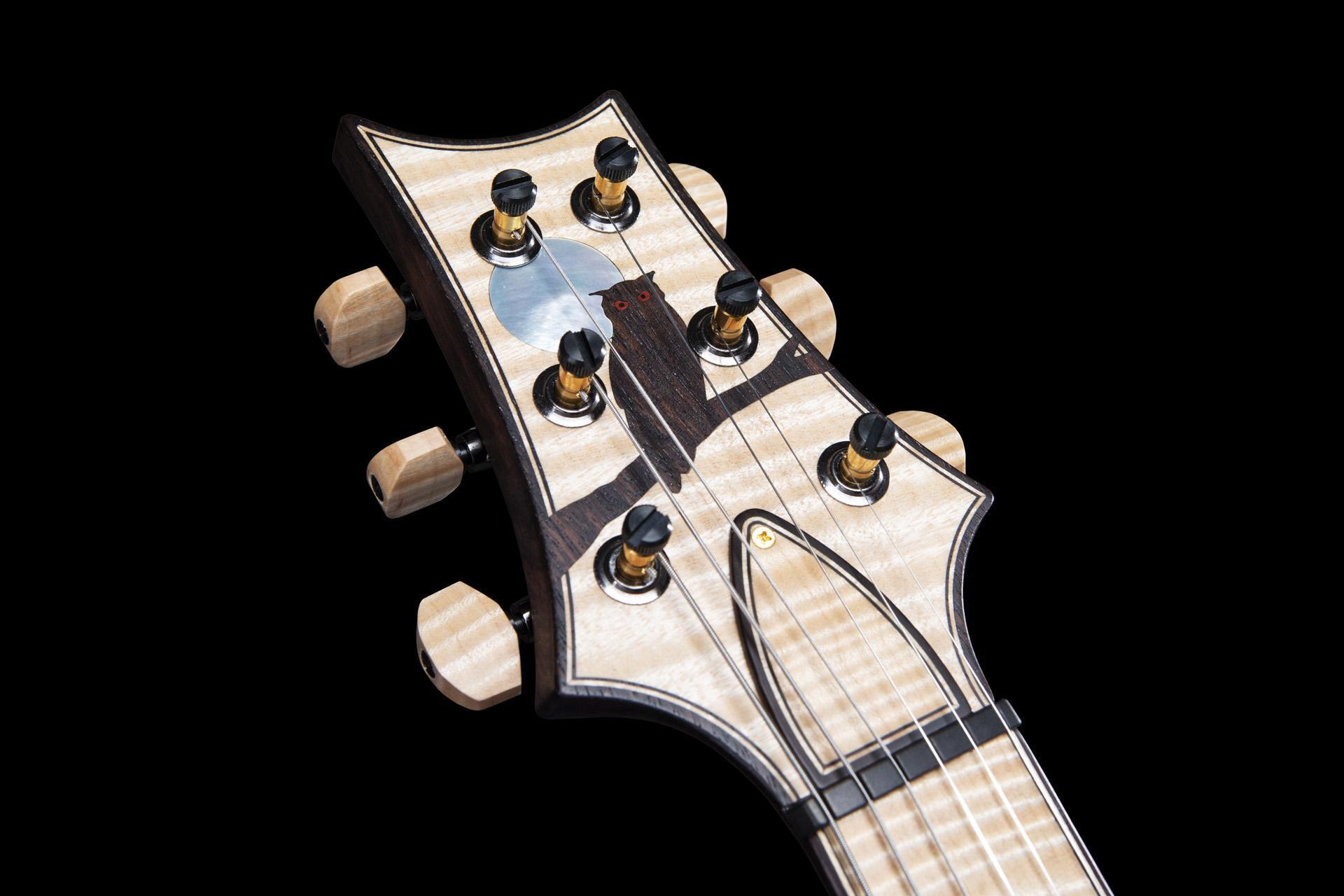 PRS's Owls in Flight Private Stock Guitars – Only at Sweetwater! - InSync