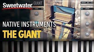 Native Instruments The Giant Demo - InSync