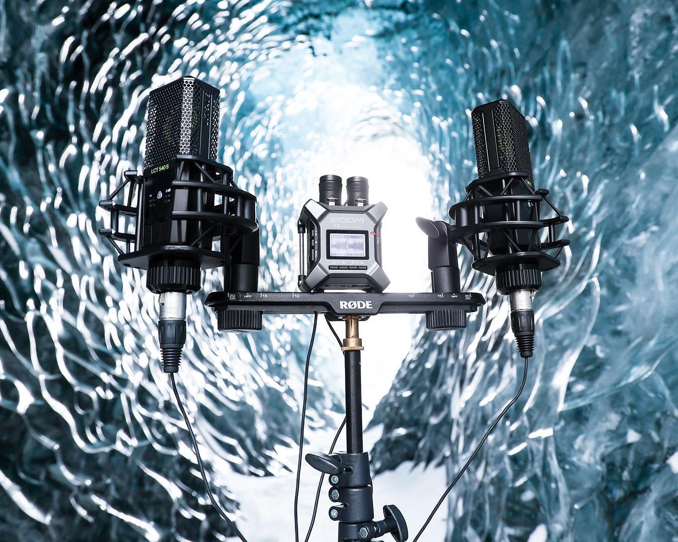 Capturing Nature's Music with Thomas Rex Beverly - InSync