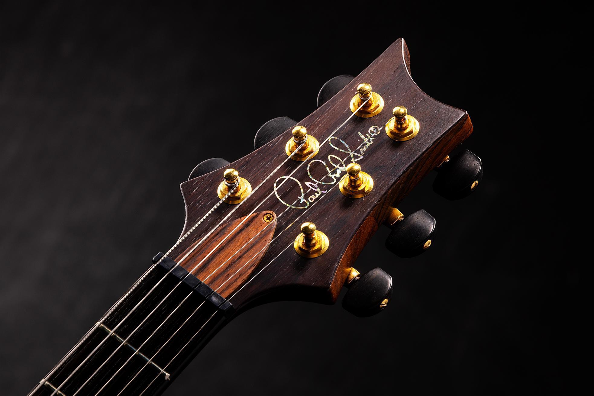 All 10 PRS Dragons As You’ve Never Seen Them Before - InSync