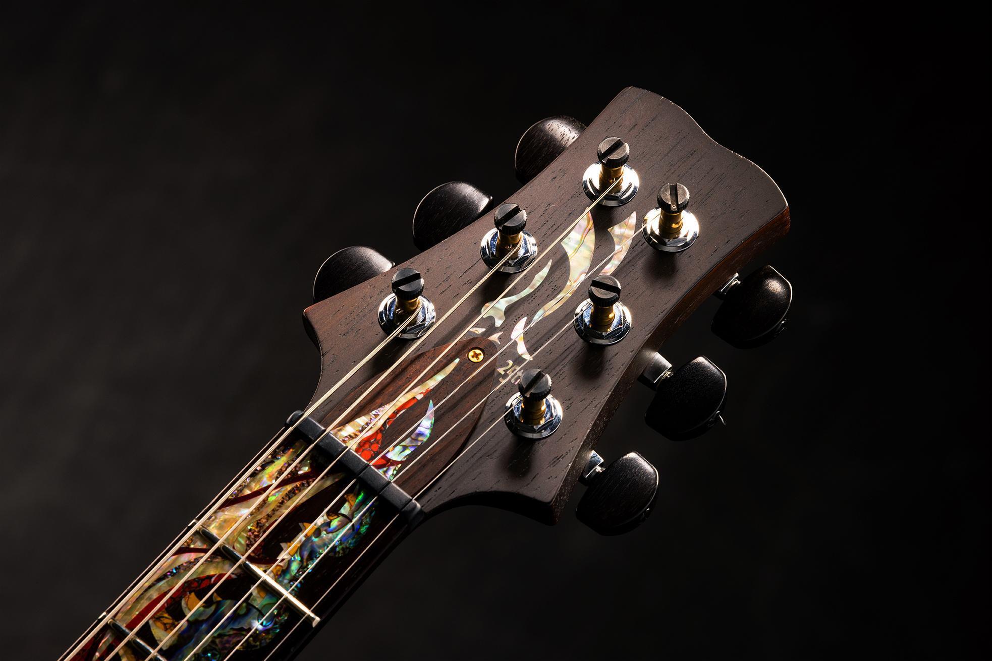 All 10 PRS Dragons As You’ve Never Seen Them Before - InSync