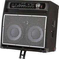 Winter NAMM 2006: SWR WorkingPro 2X10C - InSync