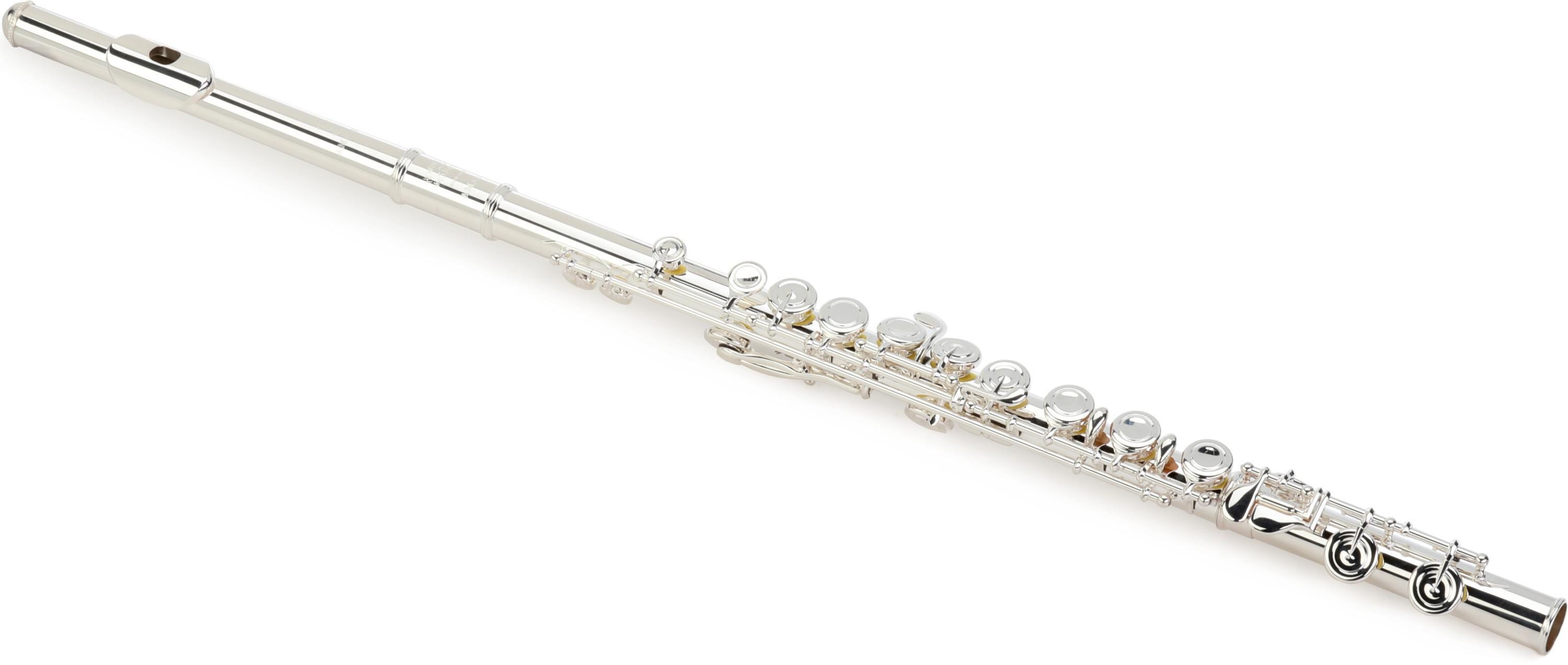 Wm. S. Haynes AF480 Amadeus Student Flute with Offset G and C Footjoint ...