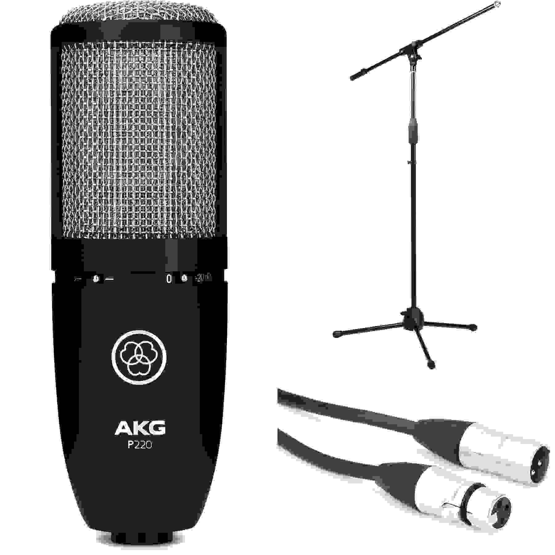 AKG P220 Large-diaphragm Condenser Microphone with Stand and Cable ...